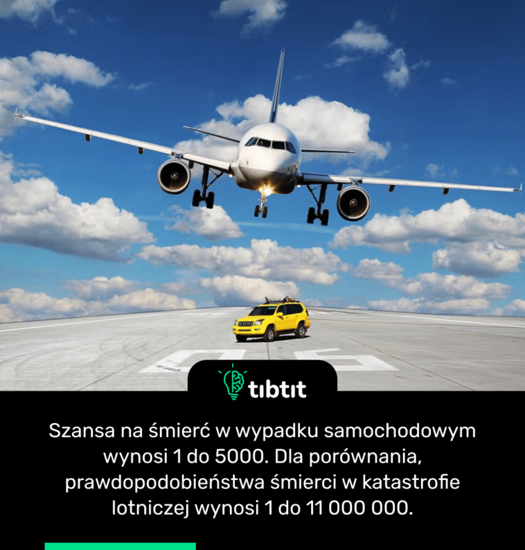 Czy wiesz, że… Szansa na śmierć w wypadku samochodowym wynosi 1 do 5000 ... Czy wiesz, że… Szansa na śmierć w wypadku samochodowym wynosi 1 do 5000 ...